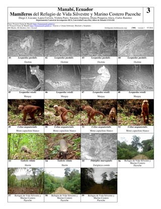 Mamíferos del Refugio de Vida Silvestre y Marino Costero Pacoche | PDF