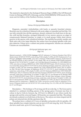 2007 -- Ofwegen and Alderslade_Alertigorgia | PDF