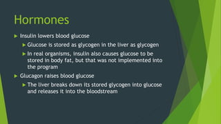 GlucoSim | PPT