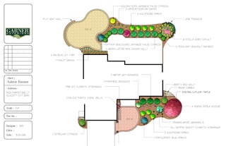 Color Plan for Copy 9-25-15 | PDF