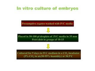 In vitro maturation and In vitro Fertilization | PPTX