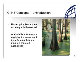 Intro to OPM3 | PPT
