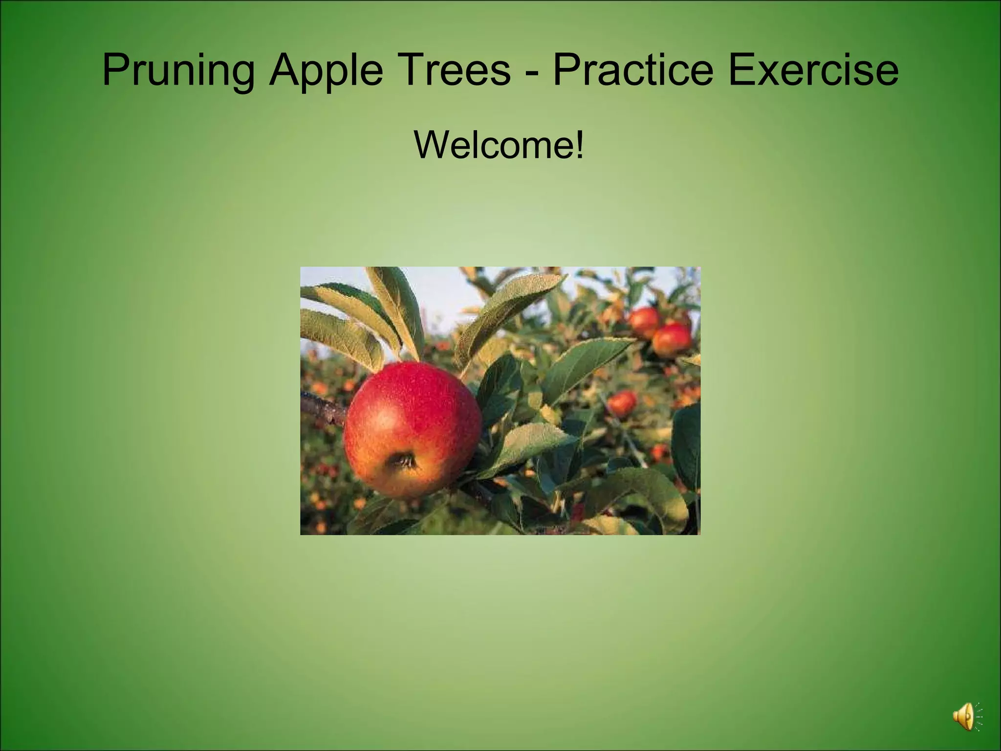 Pruning Apple Trees Practice Exercise | PPT