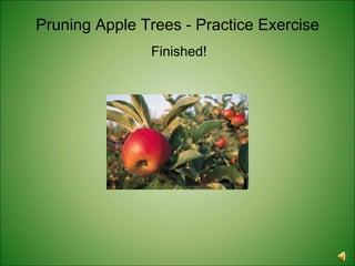 Pruning Apple Trees Practice Exercise | PPT