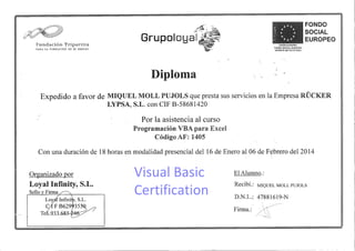 Visual Basic Certificate | PDF