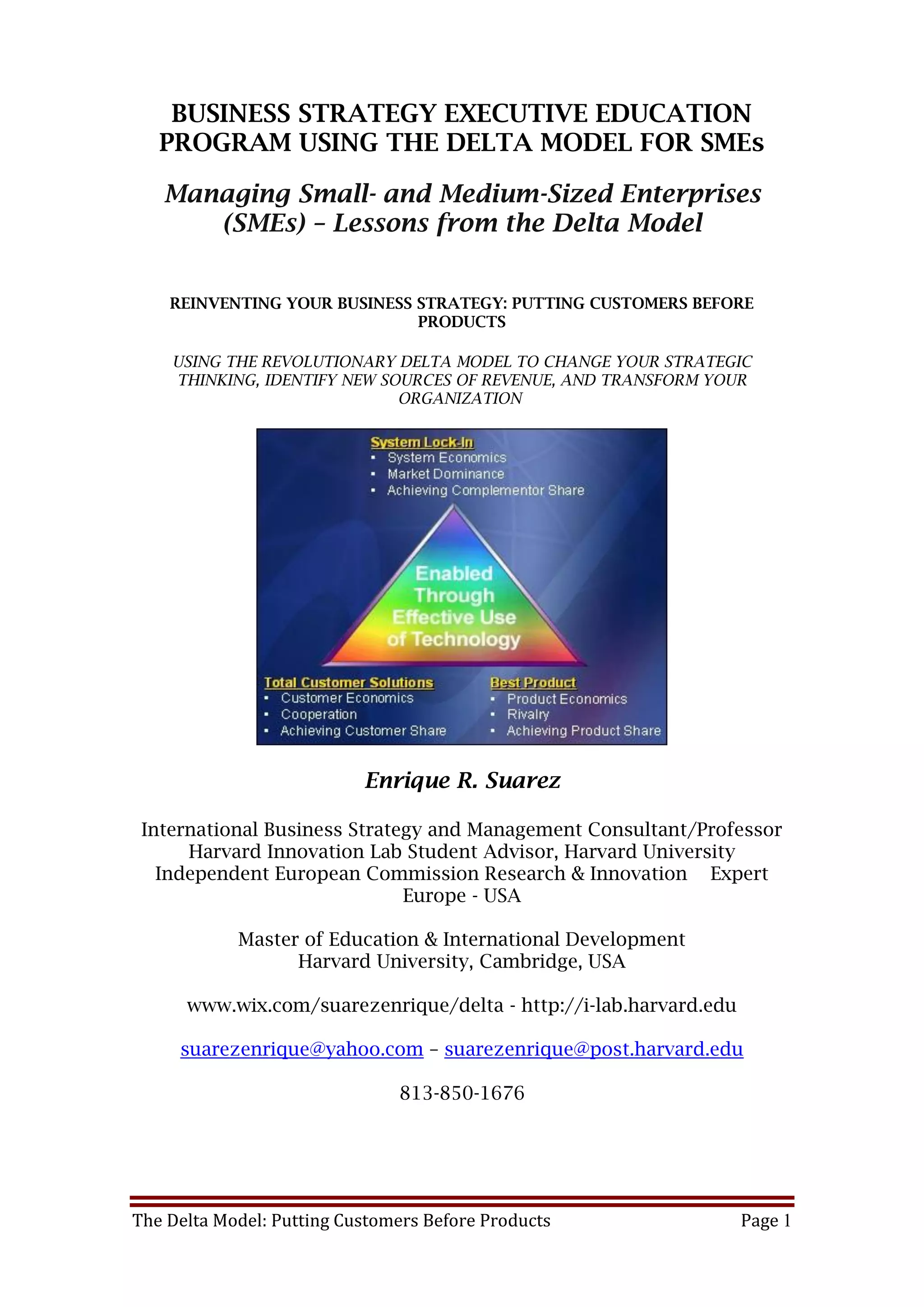 2015_DeltaModel_SMEs | PDF