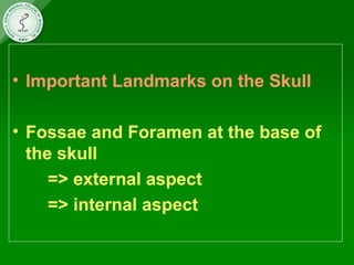 7938279 bone-of-the-cranial-cavity | PPT