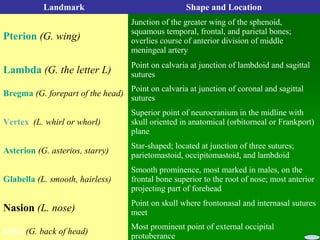 7938279 bone-of-the-cranial-cavity | PPT