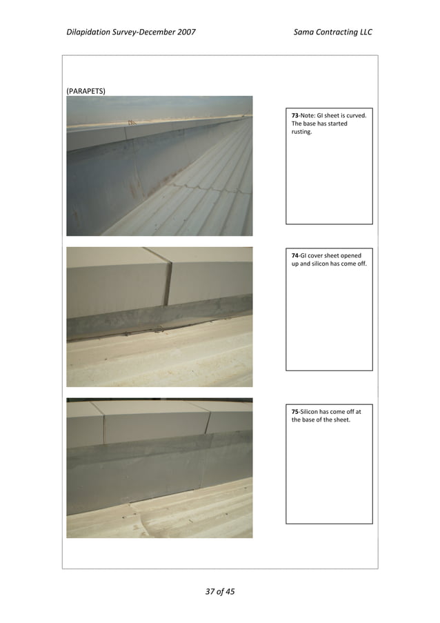 Dilapidation Survey Report | PDF