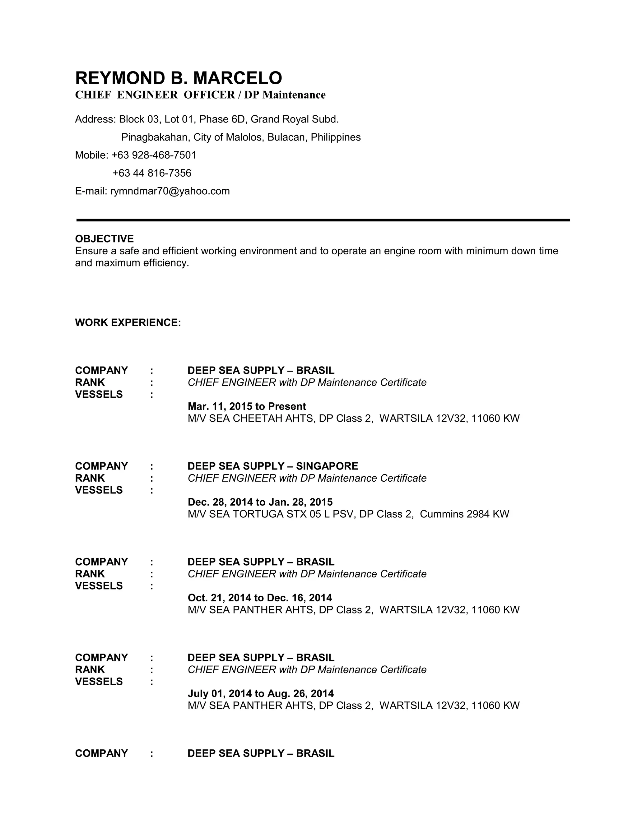 reymond marcelo CV | PDF