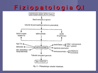 79488015 ocluzia-intestinala | PPT