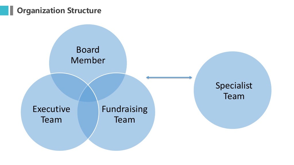 NGO Business Plan ngo-business-plan