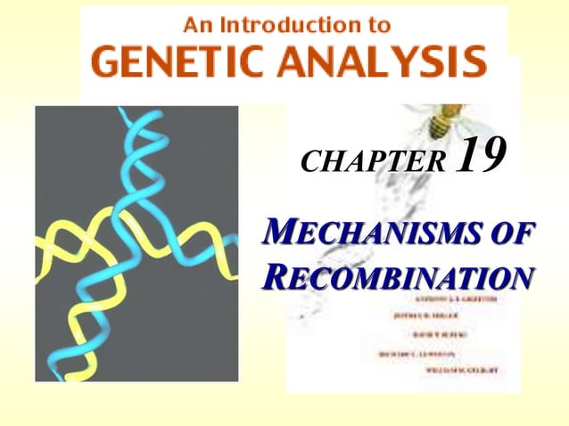 Recombination Methods Recombination Methods Ppt