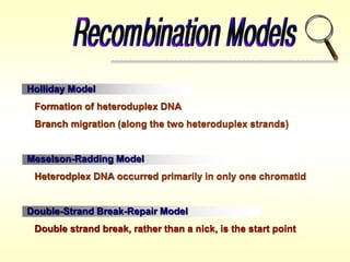 Recombination methods, Recombination methods | PPT