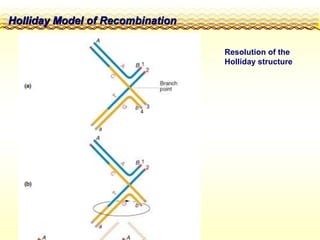 Recombination methods, Recombination methods | PPT