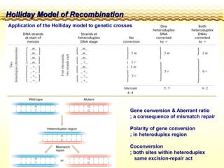 Recombination methods, Recombination methods | PPT