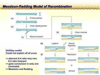 Recombination methods, Recombination methods | PPT