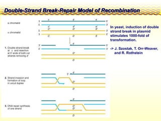 Recombination methods, Recombination methods | PPT