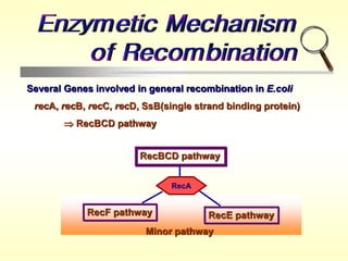 Recombination methods, Recombination methods | PPT