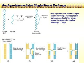 Recombination methods, Recombination methods | PPT