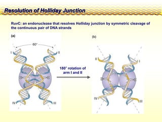 Recombination methods, Recombination methods | PPT