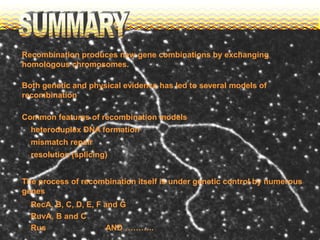 Recombination methods, Recombination methods | PPT