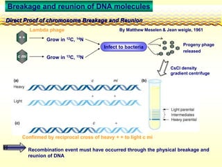 Recombination methods, Recombination methods | PPT