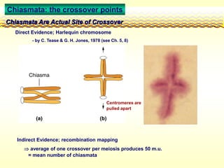 Recombination methods, Recombination methods | PPT