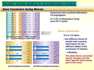 Recombination methods, Recombination methods | PPT
