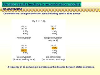 Recombination methods, Recombination methods | PPT