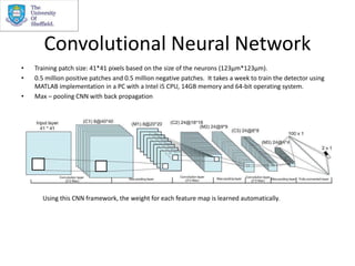 Presentation-09022015 | PPTX