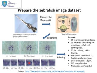 Presentation-09022015 | PPTX