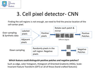 Presentation-09022015 | PPTX