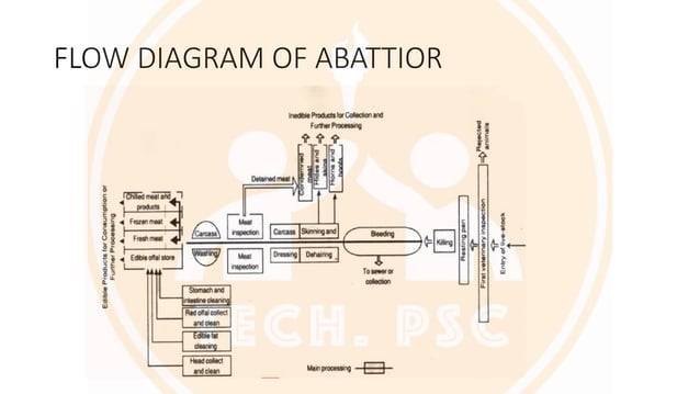 Abattoir slaughterhouse layout for food safety | PDF