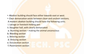 Abattoir slaughterhouse layout for food safety | PDF