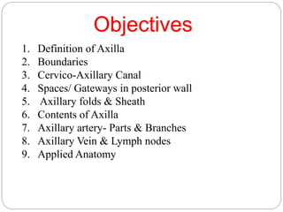 Axilla - Dr.K.S.Ravi | Death, Injury, or Military Conflict | Sensitive ...