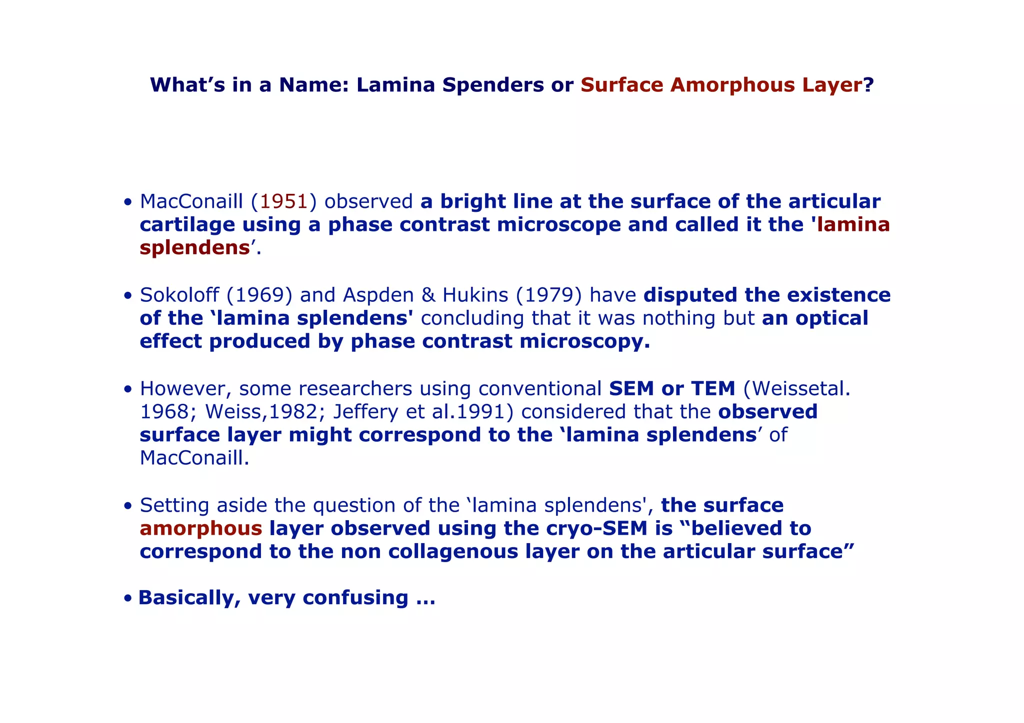 Bobic - Lamina Splendens - Chicago May 2015.pptx