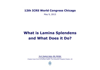 Bobic - Lamina Splendens - Chicago May 2015.pptx