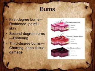 Presentation for First Aid | PPT