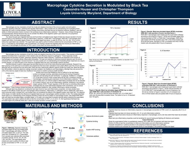 LOYOLA RESEARCH POSTER COLLOQUIUM | PPT