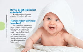 Doguma Hazirlik | PDF