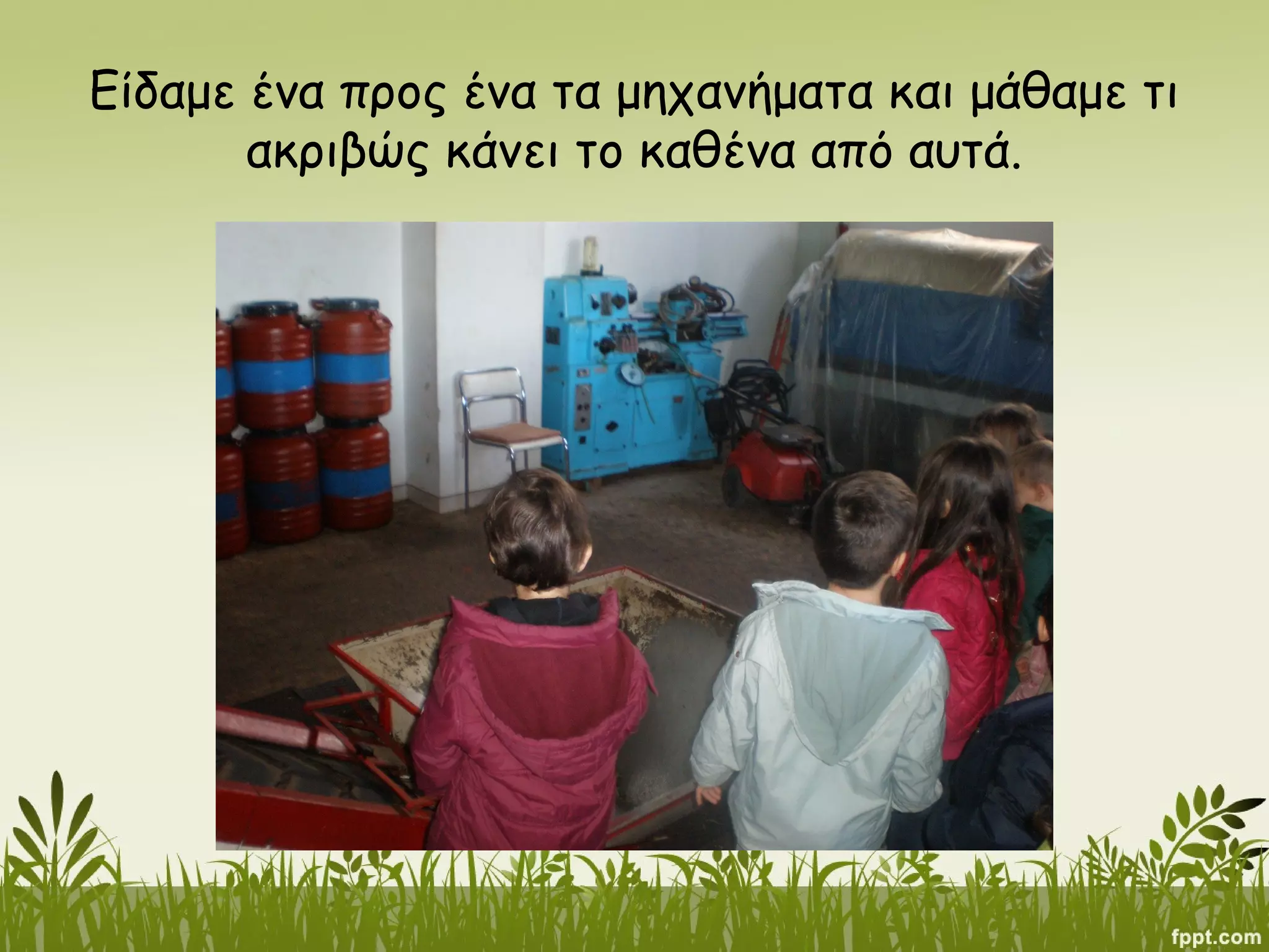 799power point ελιά (1) | PPT