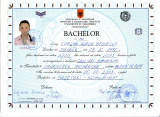 Diploma BA | PDF