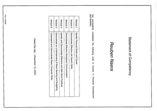 CSA Statement of Competency | PDF