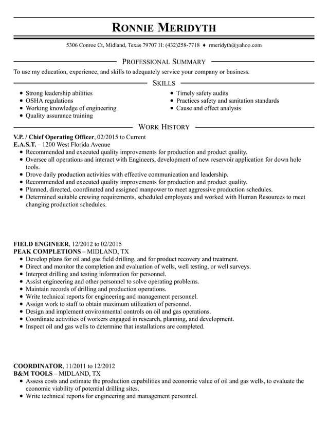 Ronnie Meridyth Resume 2 | PDF