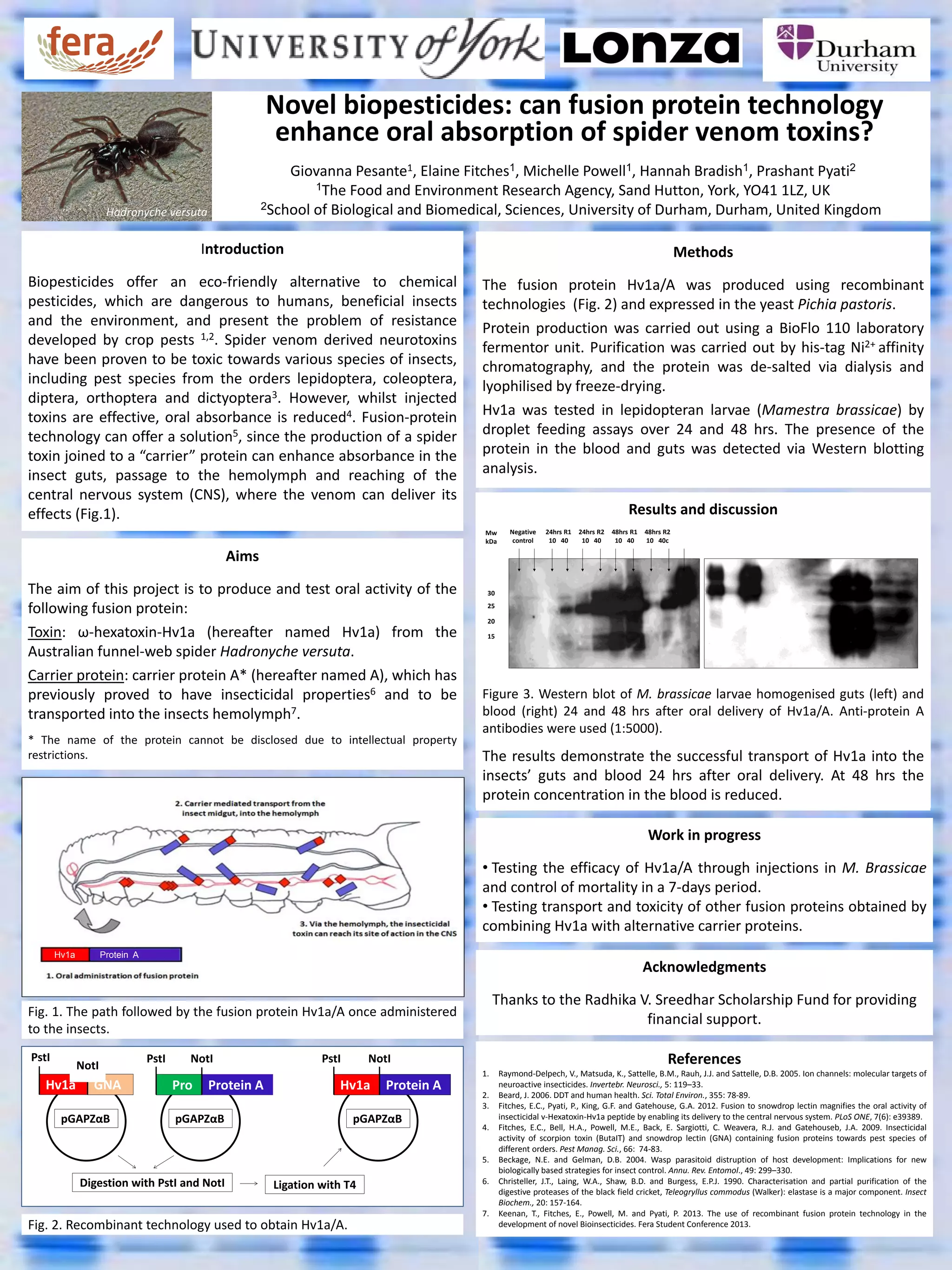 Fera student conference poster_giovanna pesante | PDF
