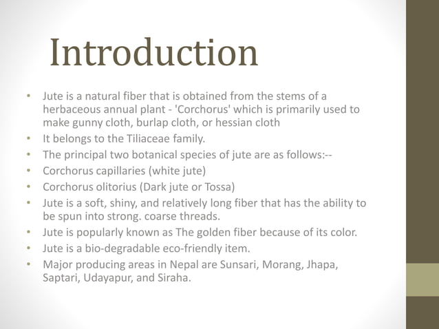 Jute a introduction to nus crops .pptx