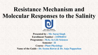 Resistance_Mechanism_and_Molecular_Responses_to_the_Salinity.pptx