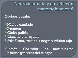 7a. neuroanatomía y correlación anatomofuncional | PPT