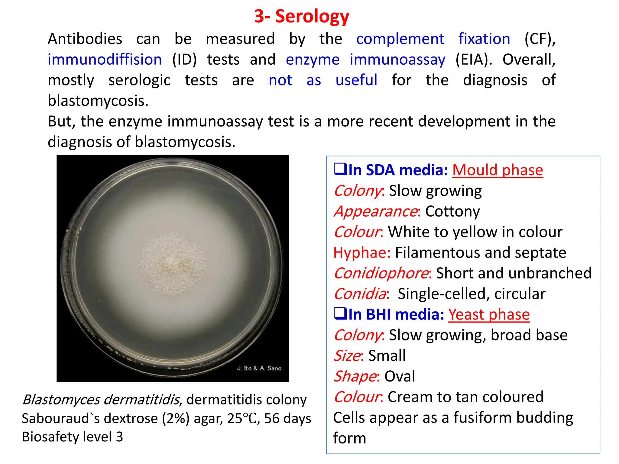 Histoplasmosis and Blastomycosis: Systemic mysosis | PDF